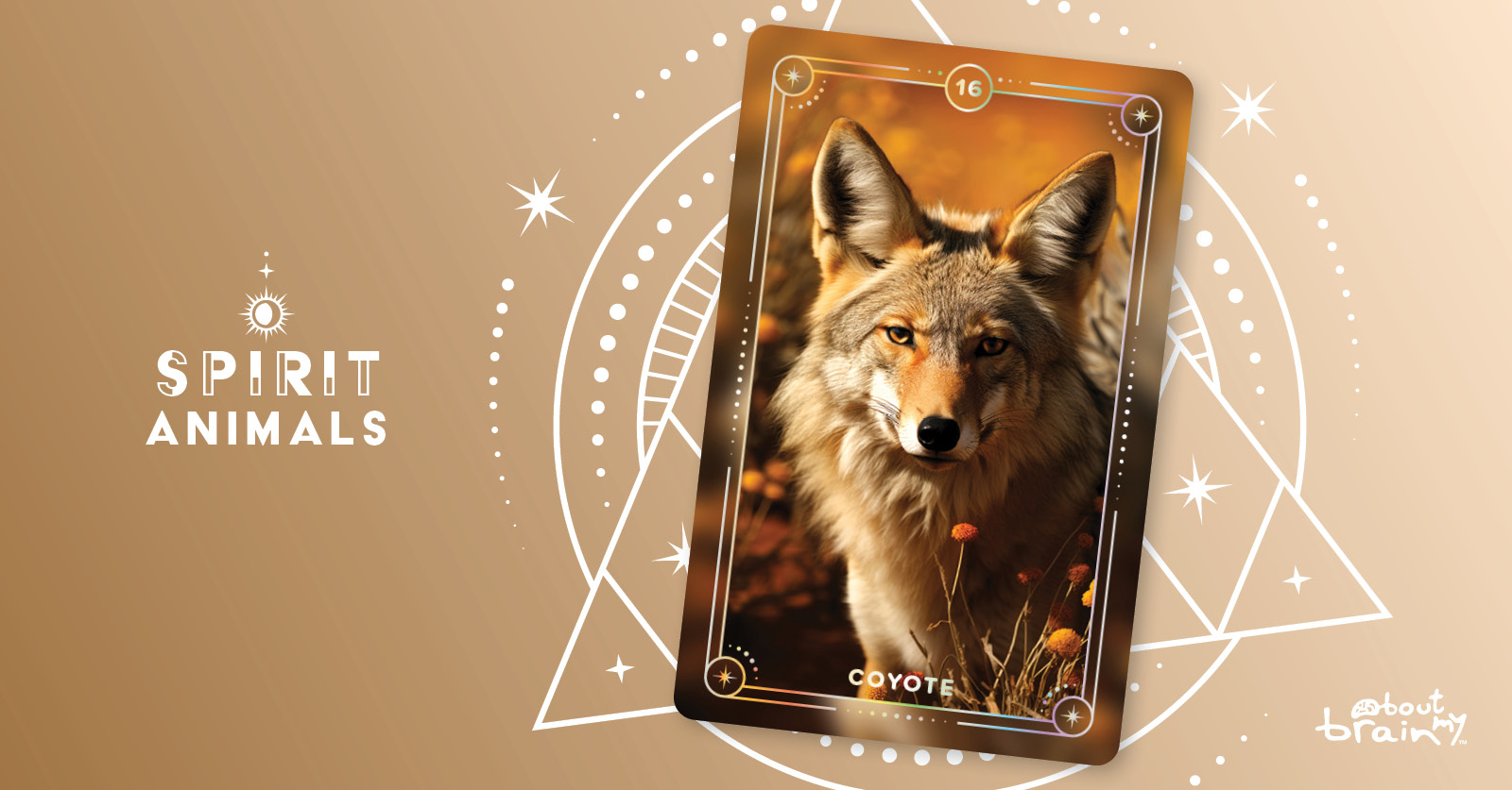 Coyote | Meaning & Significance | Spirit Animals Oracle Deck