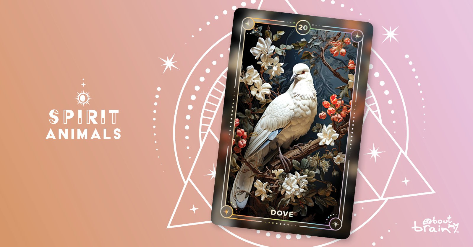 Dove | Meaning & Significance | Spirit Animals Oracle Deck