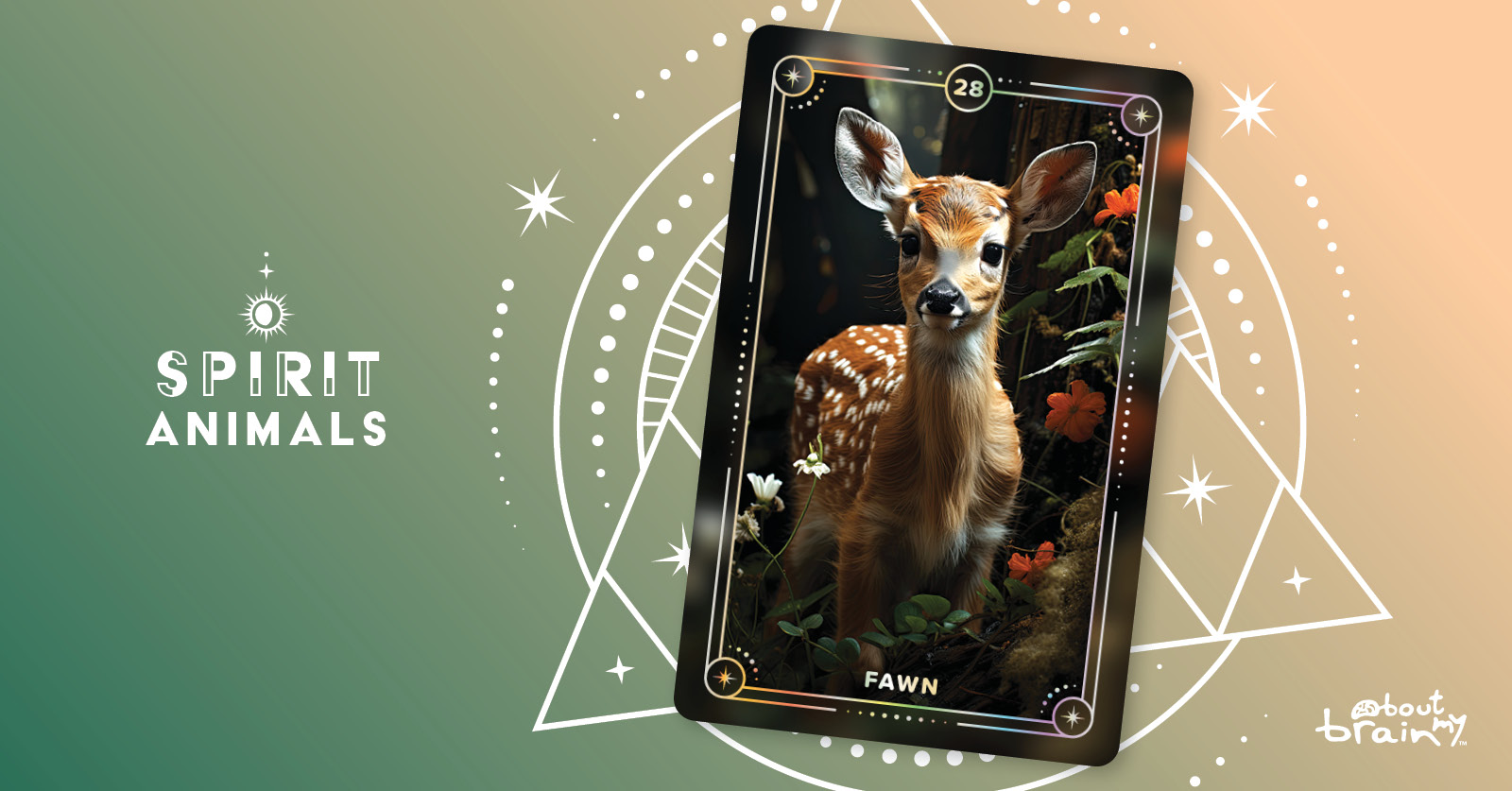Fawn | Meaning & Significance | Spirit Animals Oracle Deck
