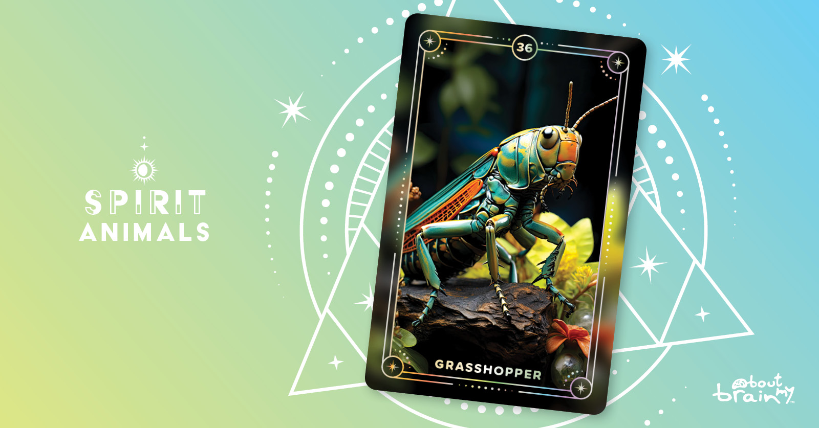 Grasshopper | Meaning & Significance | Spirit Animals Oracle Deck