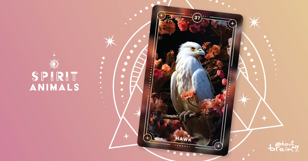Hawk | Meaning & Significance | Spirit Animals Oracle Deck