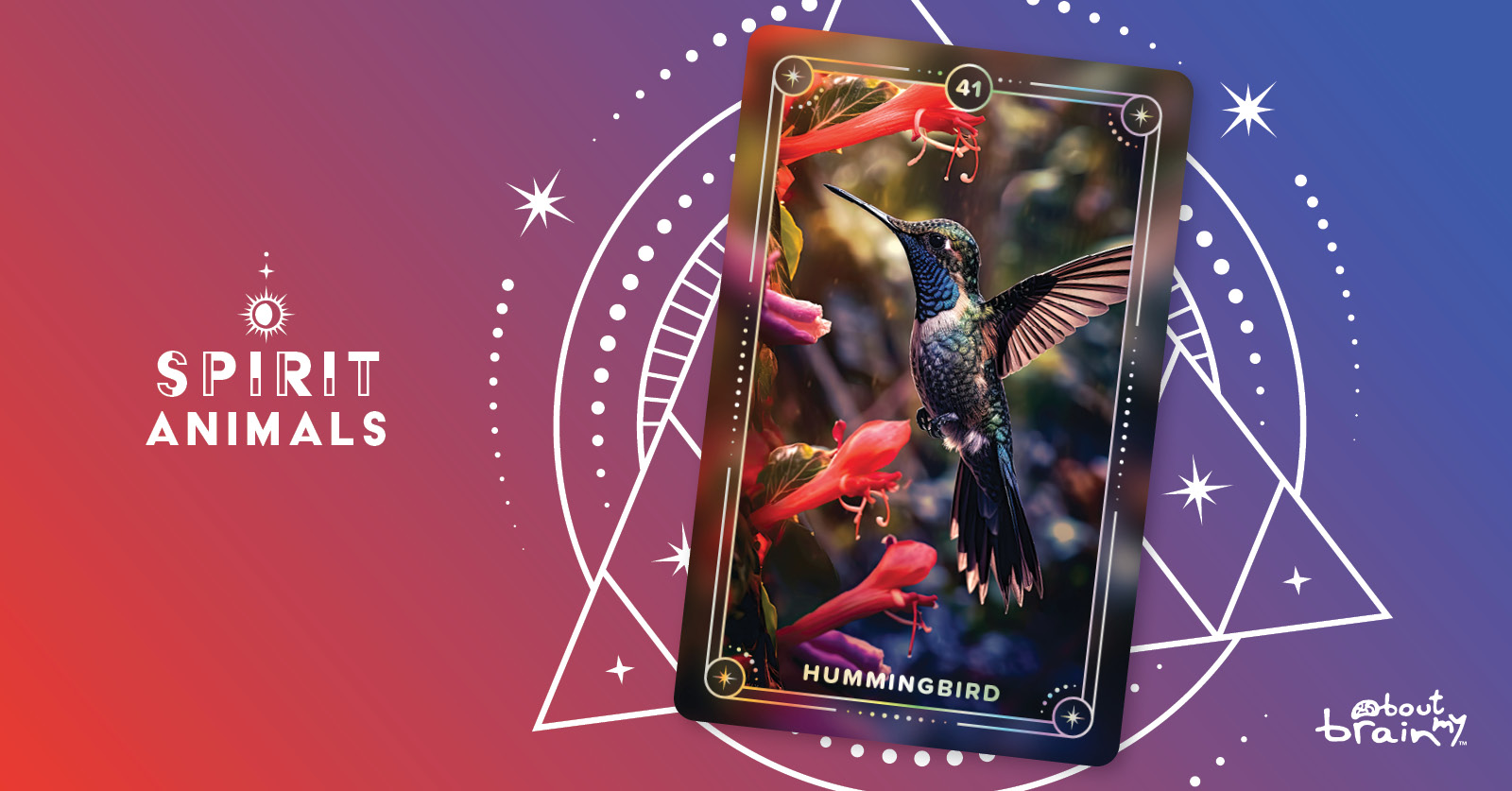Hummingbird | Meaning & Significance | Spirit Animals Oracle Deck