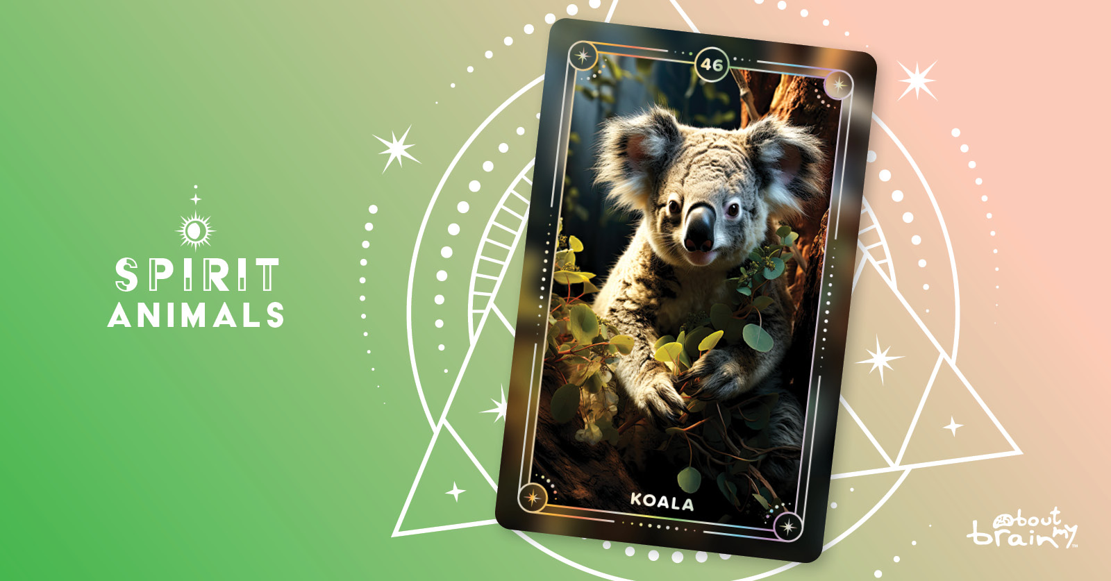 Koala | Meaning & Significance | Spirit Animals Oracle Deck