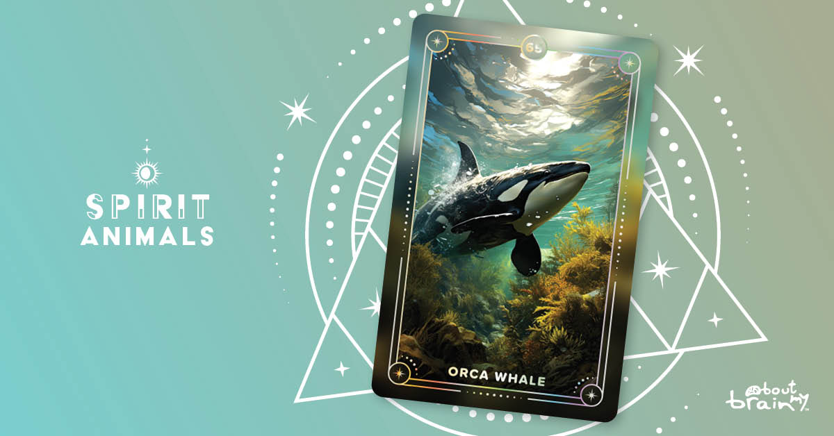 Orca | Meaning & Significance | Spirit Animals Oracle Deck